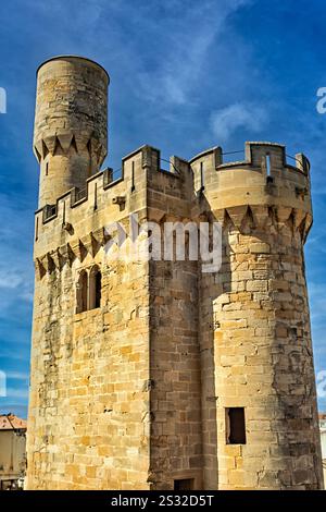 Medieval castle architecture featuring turrets, ivy, and intricate ...