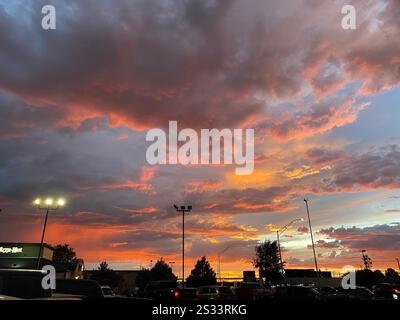 Photo of serene different yellow blue haired lady practice yoga ...