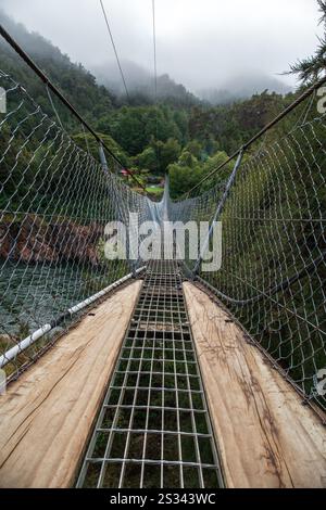 The Buller river flowing through the forest covered upper Buller Gorge ...