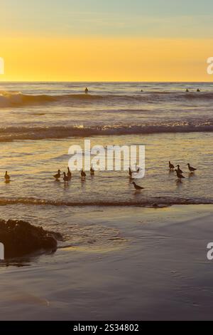 Golden shore in Santa Barbara, California Stock Photo - Alamy