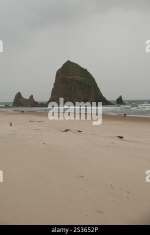 Waves and Haystack Rock off the coast of Pacific City, Oregon Stock ...