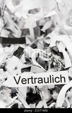 Paper shreds with the keyword Confidential, symbolic photo for data ...