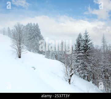Winter mountain forest. Foggy dull day snowy landscape Stock Photo - Alamy