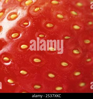 Textured red strawberry background - extreme close up Stock Photo - Alamy