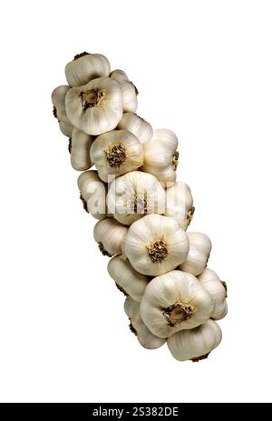 Bunch of Garlic isolated on white background, compound bulb isolated ...
