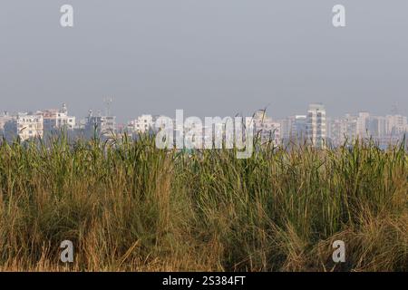 Beautiful view of Dhaka city with buildings and natural grass field ...