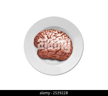 human brain on plate isolated on white background. human brain on plate ...
