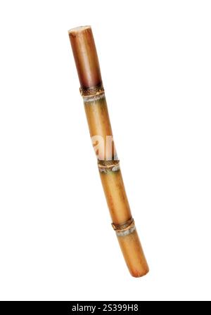 One letter of bamboo alphabet isolated on white. One letter of bamboo ...