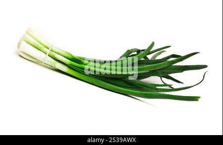 Eight ripe, beautiful spring onions on a white background. Eight ripe ...