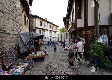 BURSA, TURKIYE - JULY 21, 2024: Old streets of Cumalikizik Village ...