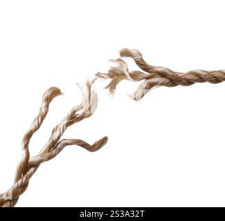 Frayed rope on white background Stock Photo - Alamy
