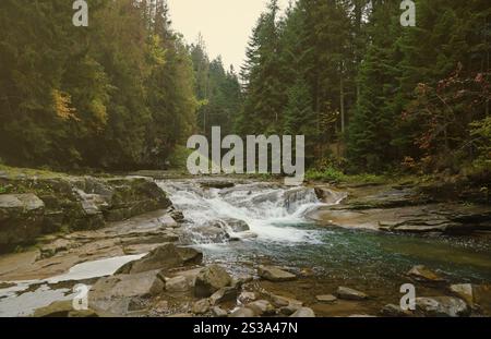 A bright blue river flowing through forest in a hidden park along the ...