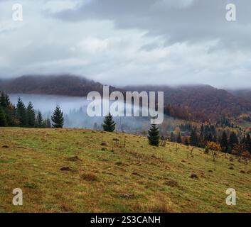 Foggy early morning autumn mountains scene. Peaceful picturesque ...