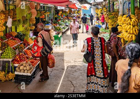 A shop in the market hall of Kandy in Sri Lanka Stock Photo - Alamy