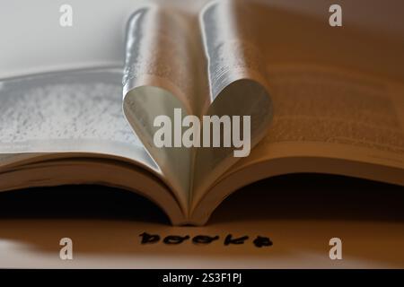 book lover concept, reading and the love of books concept Stock Photo ...