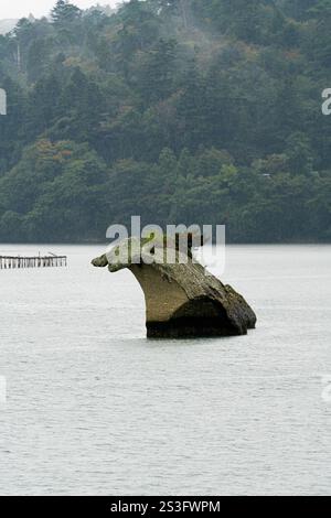 The rock formations in Matsushima Bay, Japan, are made of tuff ...