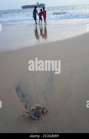 Indien IND, 20241231, Blick auf ein Containerschiff, Kerala, Vizhinjam ...