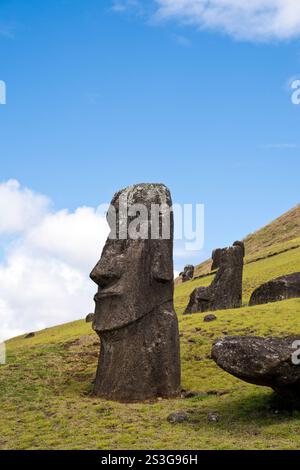 Half buried and fallen Moai (monolithic statues) at Rano Raraku, the ...