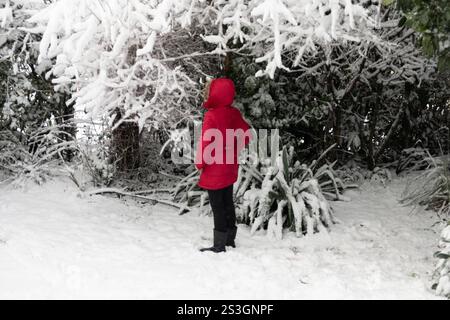 Schneebedeckte Aeste in Aachen am 9. Januar 2025. GERMANY - AACHEN ...
