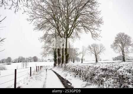 Schneebedeckte Landschaft und Feldwege in Aachen am 9. Januar 2025 ...
