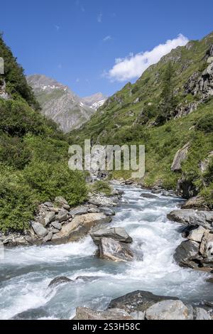 Austria, Tyrol, East Tyrol, Umbaltal, Isel (river), mountain stream ...