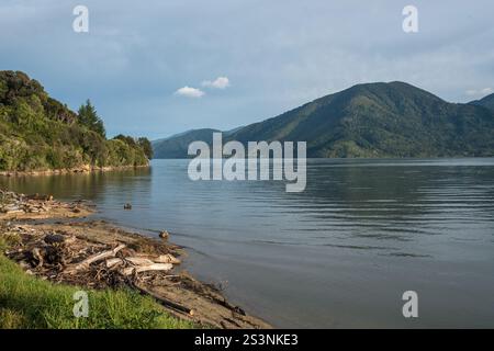 Scenery of the bays and coves in the Marlborough Sounds with some ...