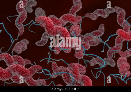 Campylobacter bacteria, illustration Stock Photo - Alamy