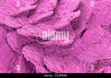 Psoriasis skin surface - isometric view 3d illustration Stock Photo - Alamy