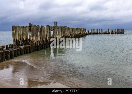 Torpedo research center in Gdynia, ruins of an old German factory on ...