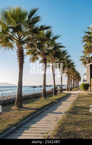 Palm tree lined coastal walkway, Limassol, Cyprus Stock Photo - Alamy