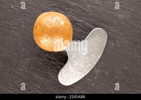 Macadamia nuts in shell with metal key on slate stone, top view Stock ...
