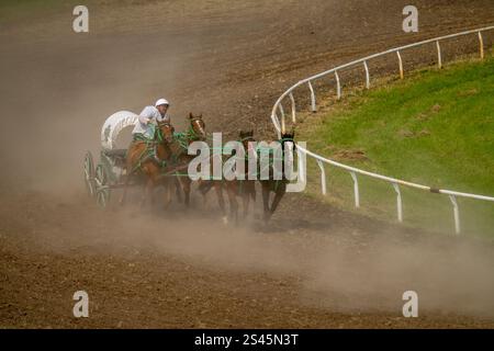 Chuck wagon racing at the Manitoba Stampede in Morris, Manitoba, Canada ...