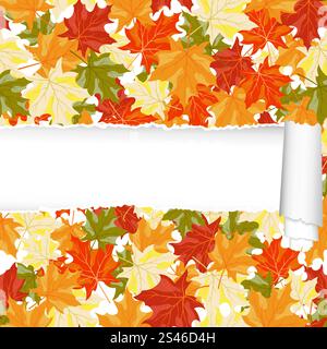 Autumn Maple Seamless Pattern With Ripped Stripe. Transparency Grid ...