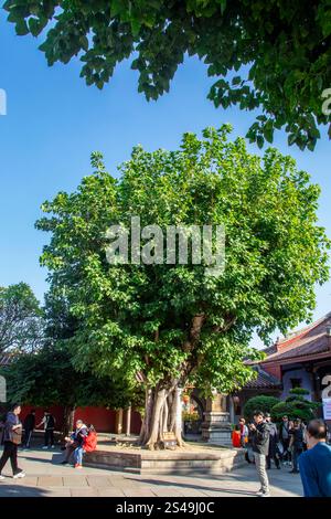 In front of the Mahavira Hall at Kaiyuan Temple Chaozhou China, there ...