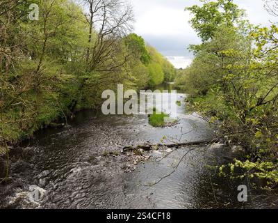 River Gryfe fast flowing due to high water level Stock Photo - Alamy