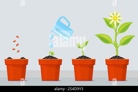 Plant growing stages. Timeline infographic of planting tree process ...