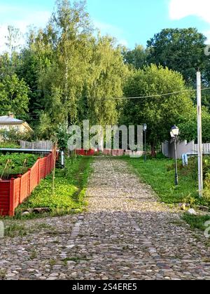 Vertical shot of a beautiful cobblestone path surrounded by trees on a ...
