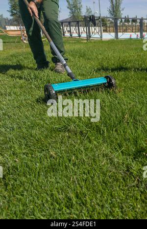 Hand scarifier for lawn in action. Manual tools for lawn maintenance ...