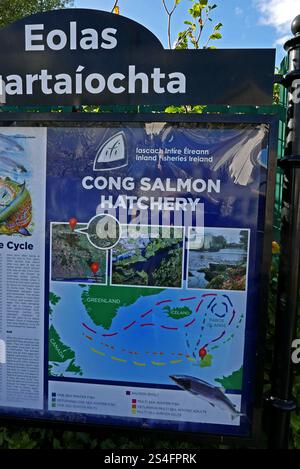 Cong salmon hatchery, Mayo county, Connacht province, Republic of ...