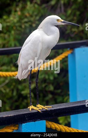 Oceanario, Rosario Islands. Cartagena de Indias, Colombia Stock Photo ...