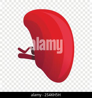 Spleen icon. Cartoon of spleen vector icon for web design for web ...
