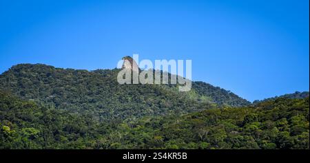 Tropical mountain hill Pico do Papagaio with jungle rainforest tree ...