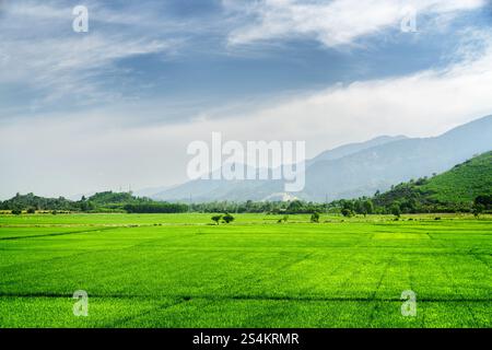 Bright green rice fields in Hampi India against a backdrop of a rocky ...
