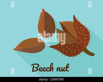 Beech tree drawing, botanical illustration vector Stock Vector Image ...