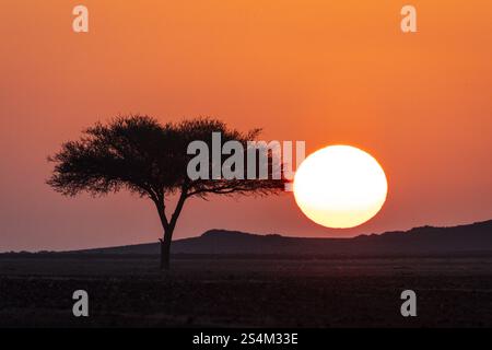 sunrise, landscape, paysage during the Stage 8 of the Dakar 2026, on ...