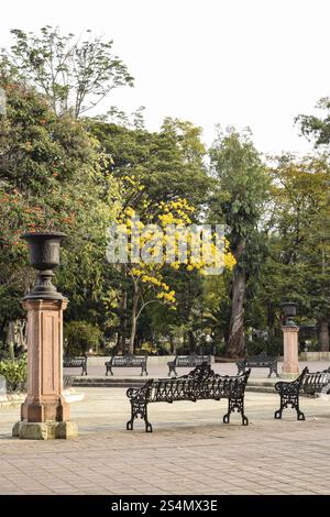 Park in Oaxaca's historic center. Urban landscape Stock Photo - Alamy