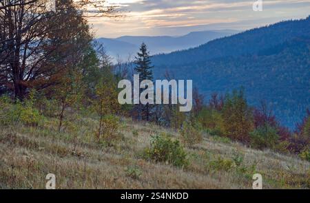 Morning dew on fall mountainside. Four shots composite picture Stock ...