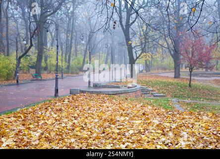 avenue in autumn dull city park Stock Photo - Alamy