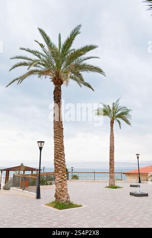 hotel area with palm trees landscape design Stock Photo - Alamy