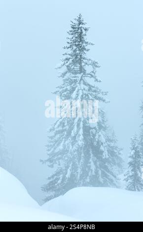 Winter mountain foggy dull day snowy landscape Stock Photo - Alamy
